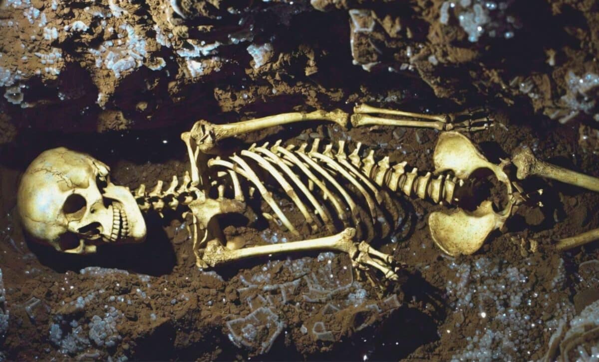Scientists pulled DNA from a 4,500-year-old skeleton—and uncovered a ...