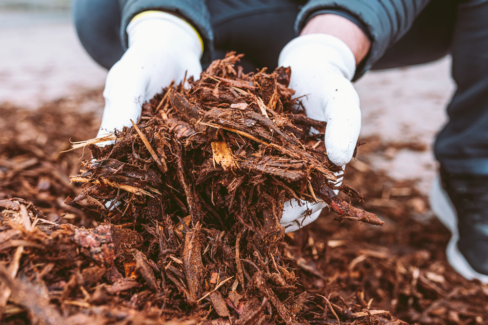 Landscaping tips for curb appeal
