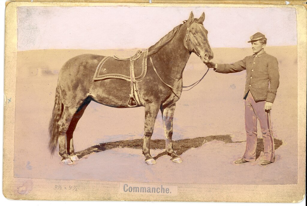 How the Comanche became the most feared horsemen in North American history