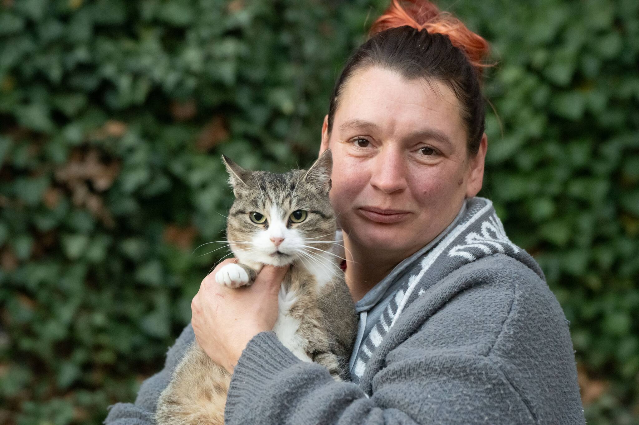 Katzen sind keine Geschenke: Neuer Tierschutzverein in Neuruppin mahnt ...