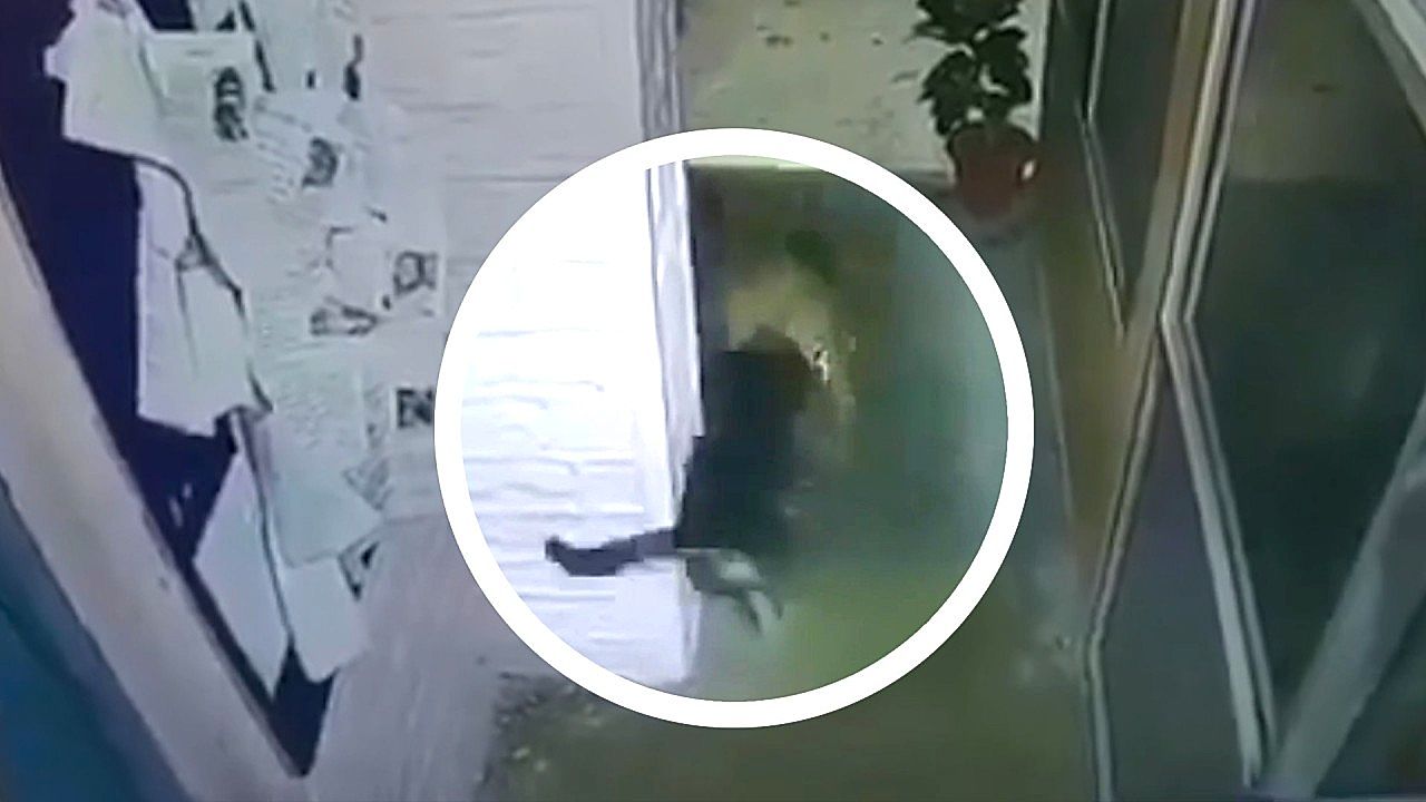 Brave dog charges a deadly intruder in the night to protect police officers