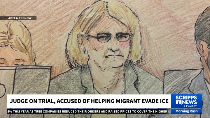 Judge Dugan's courtroom drama: ICE arrest & federal case unfold