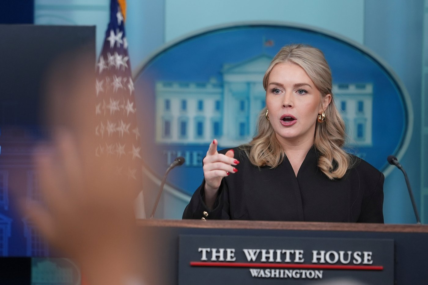 Susie Wiles, White House chief of staff, criticizes Bondi and opines on ...