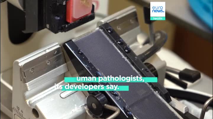 Latest news bulletin | December 16th, 2025 – evening