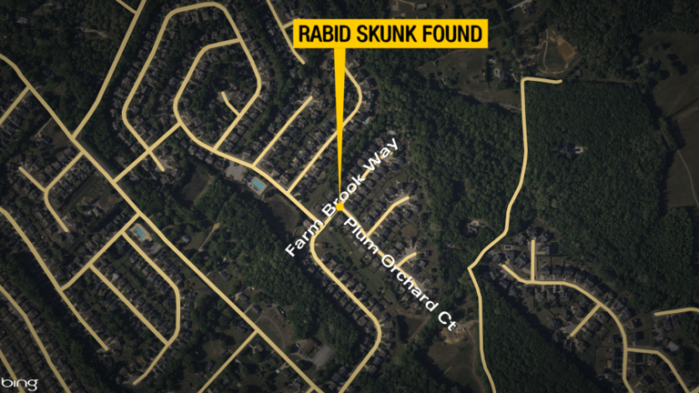 Dog euthanized after rabies exposure in Greenville County: SCDPH