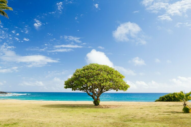 15 interesting facts about nature that are lit