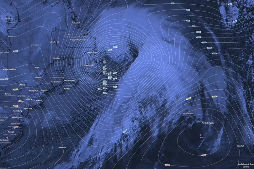 Polar vortex split and bomb cyclone bring Arctic blast to New York