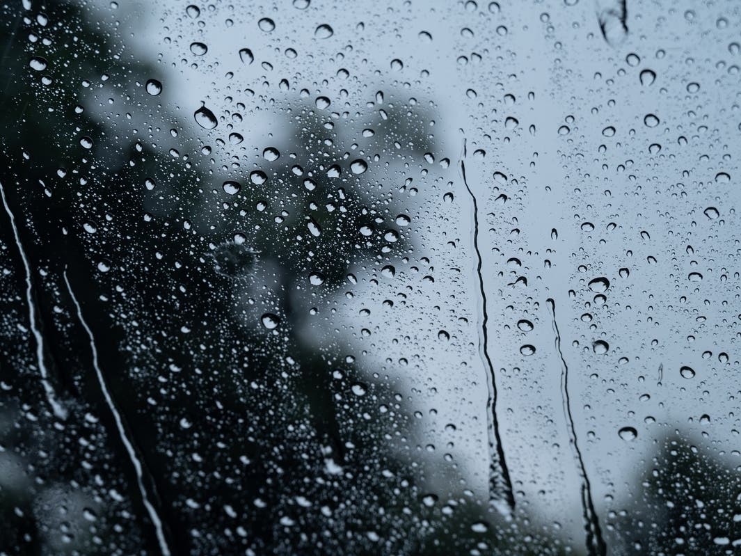 SoCal To Likely To Get A Wet And Possibly White Christmas