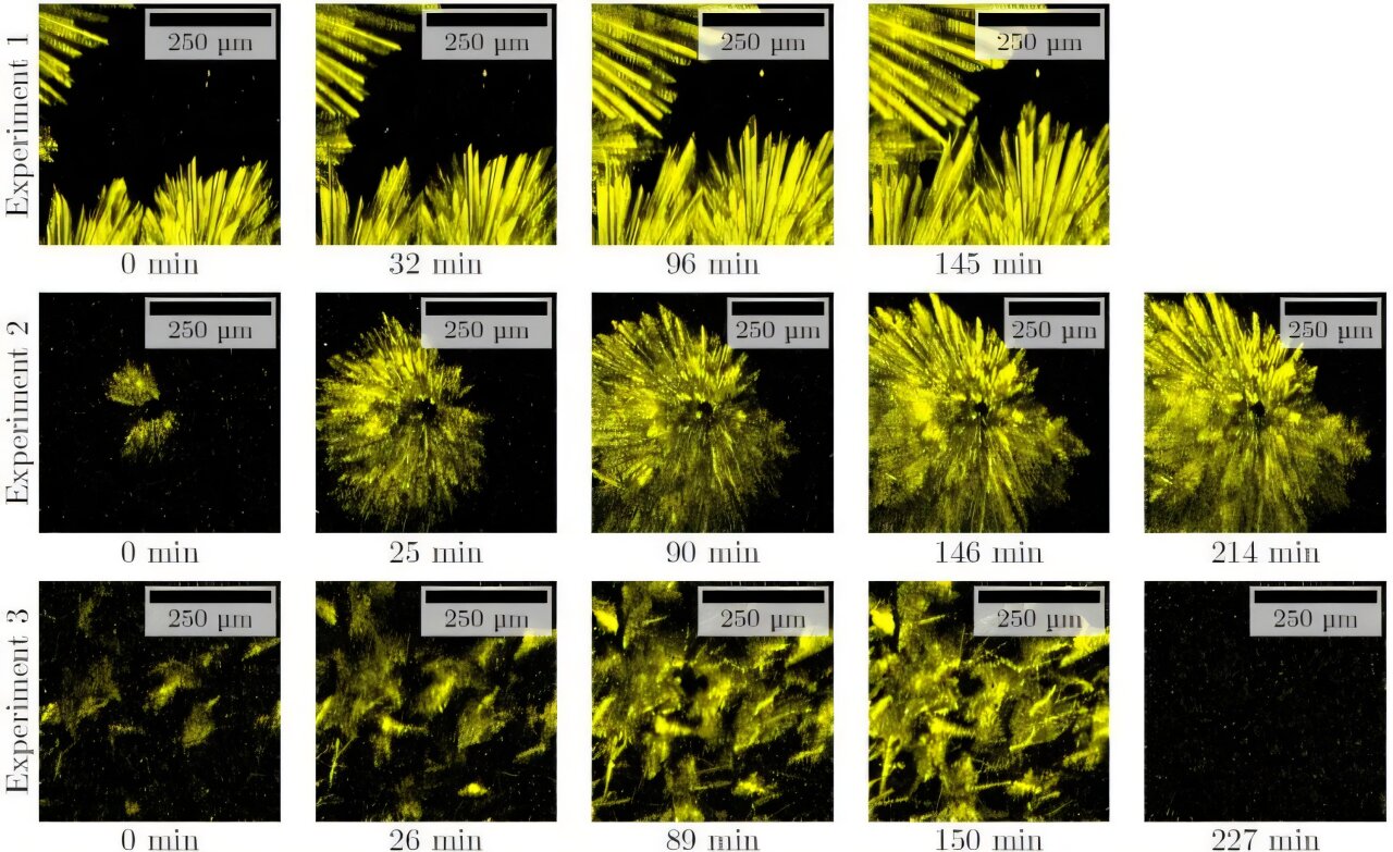 Engineers develop real-time membrane imaging for sustainable water ...