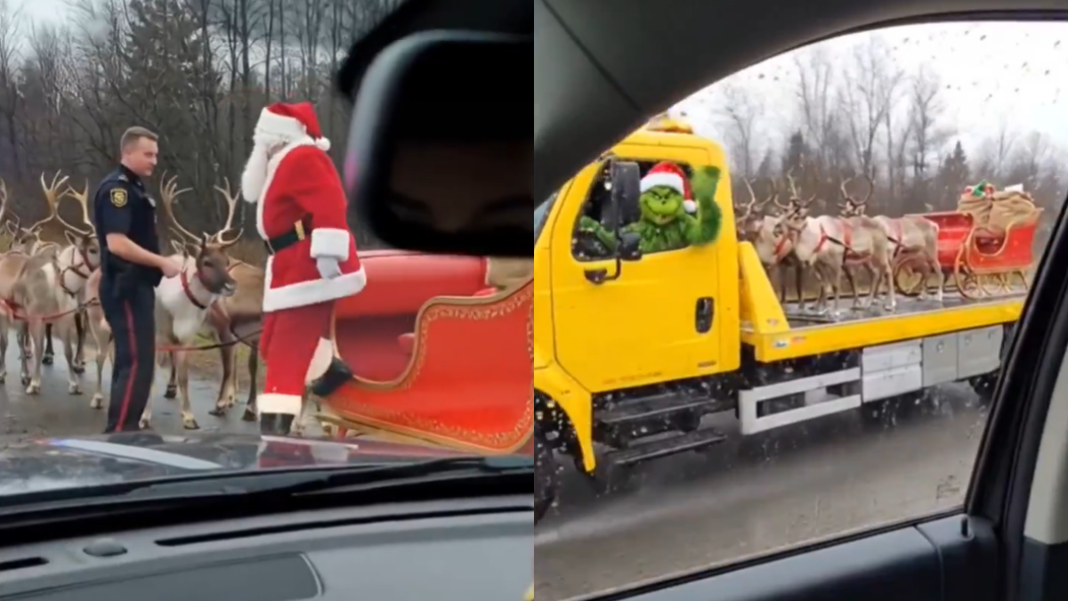 ¡Oficial! Grinch se roba la Navidad con todo y trineos, tras la ...