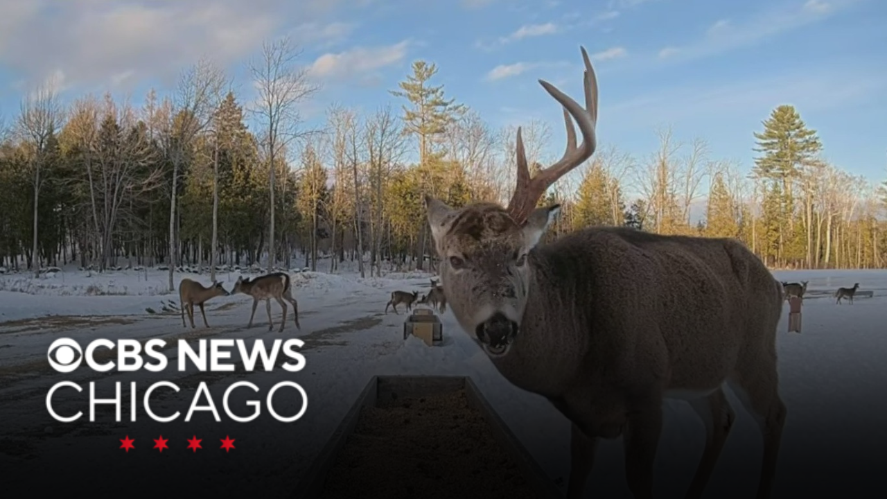 Family in Maine host food pantry for deer | Hand Off