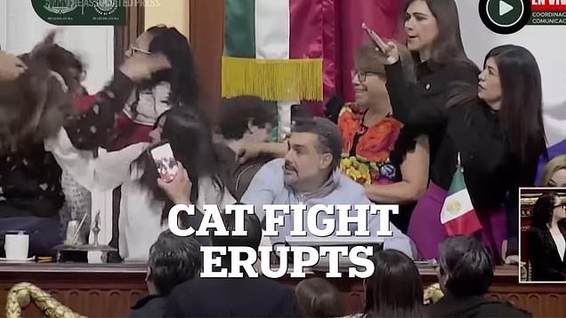 Cat fight erupts in Mexico's congress as politicians brawl