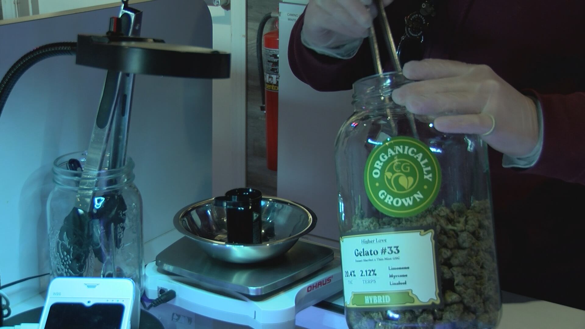 UP dispensary lays off employees amid new tax on cannabis