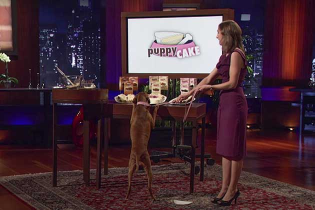 Smart business lessons Shark Tank teaches better than business school