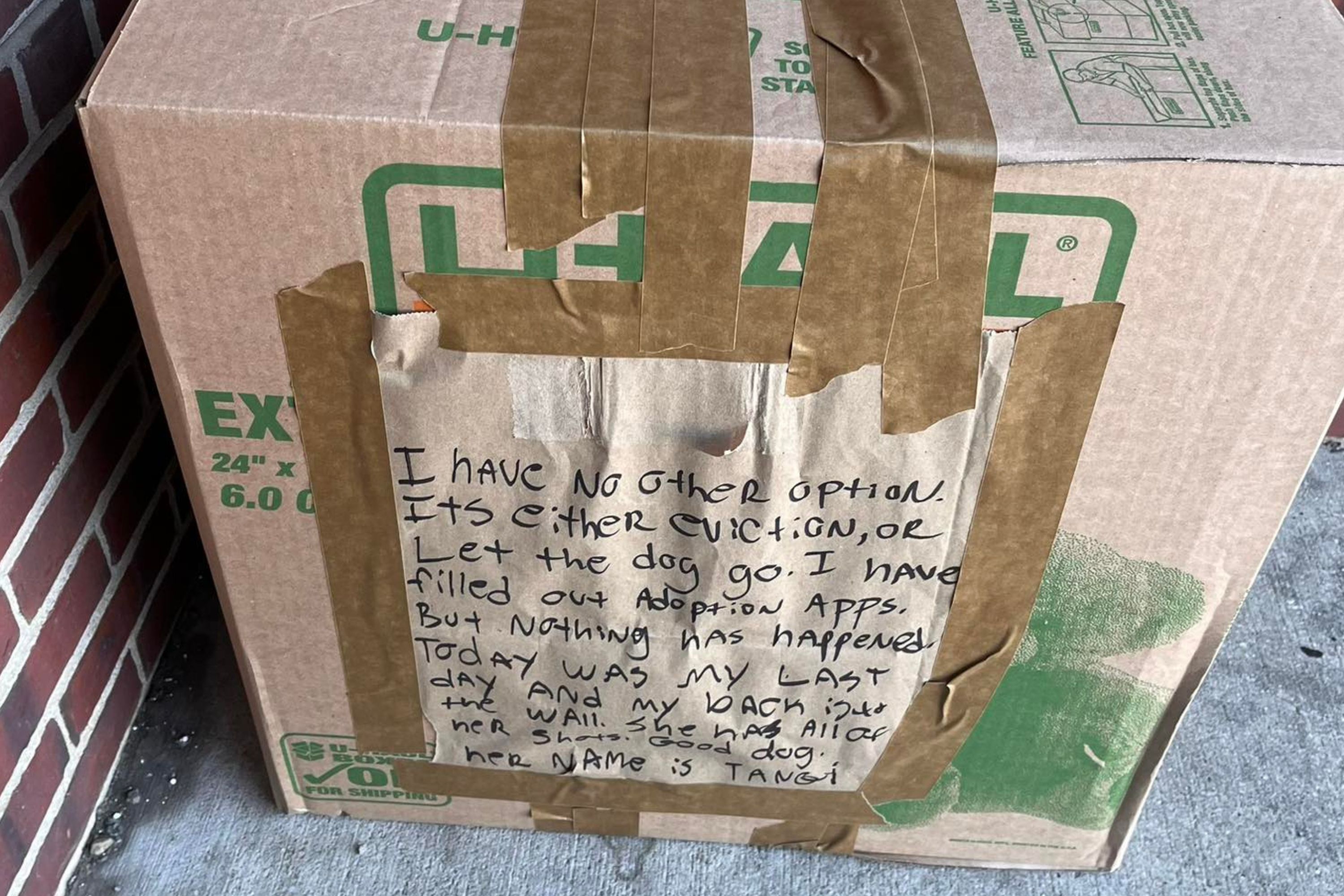Shelter finds taped box with note in the cold—can't believe what's inside