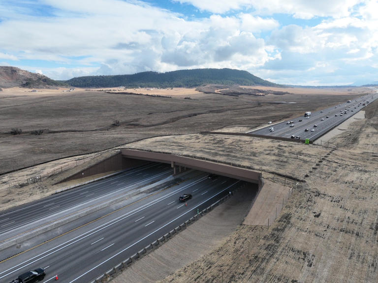North America's largest wildlife overpass opens over busy, remote road
