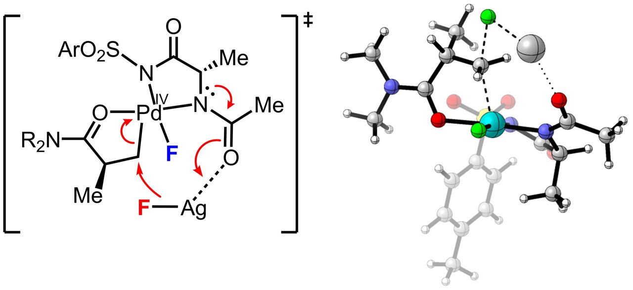 New method enables precise fluorine addition to drug-like molecules in ...