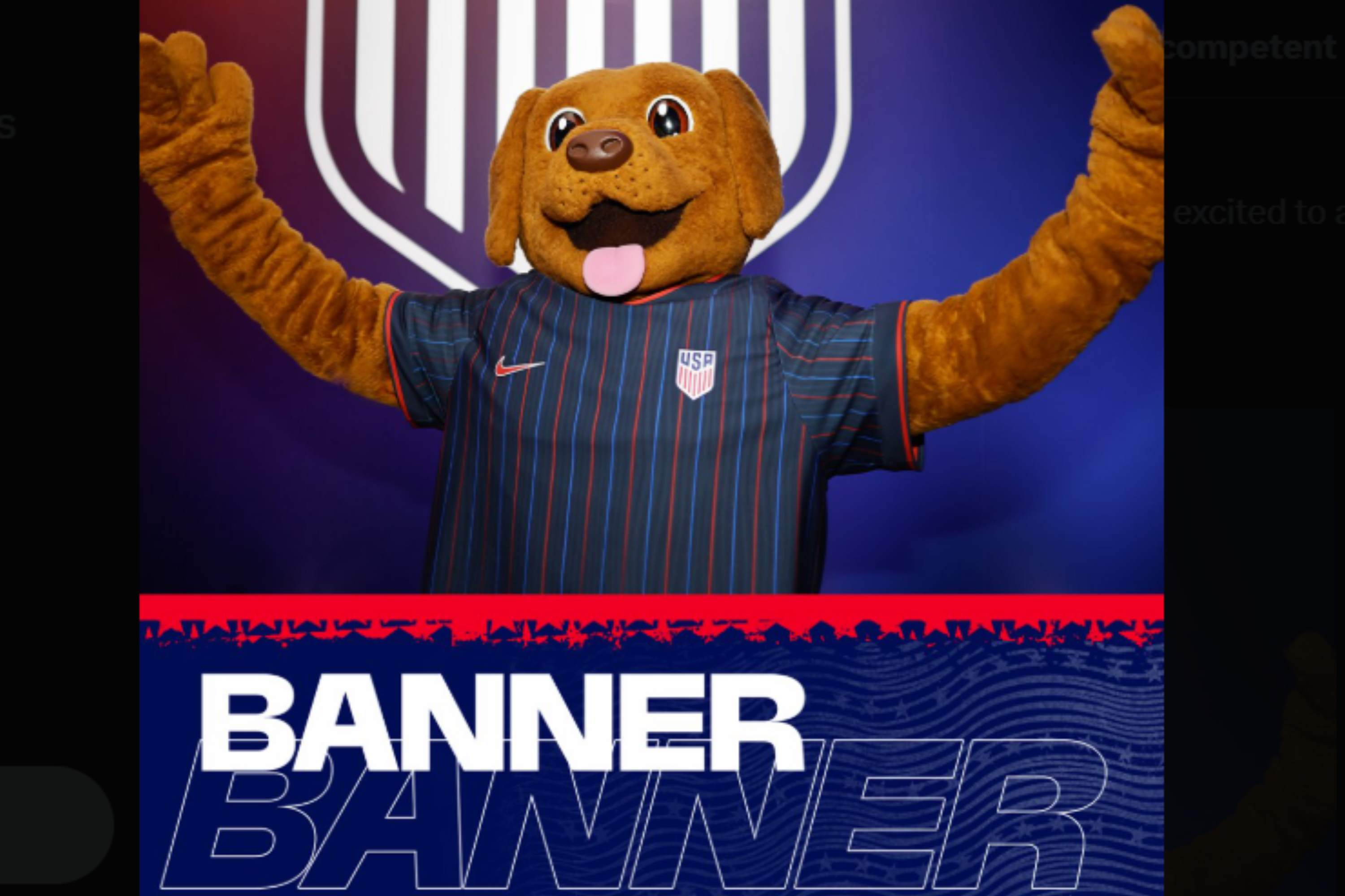 USA World Cup mascot leaves fans cold