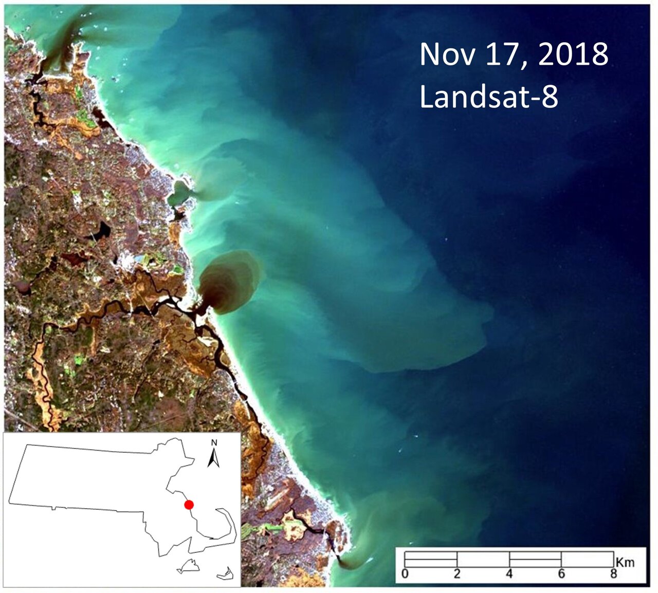 Ocean sediments are key to survival of northeastern US salt marshes