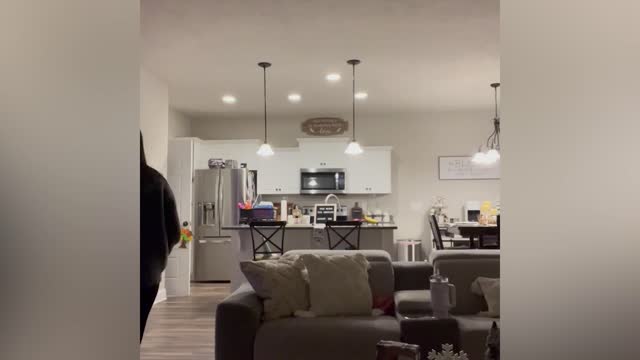 Husband comes home to surprise twins reveal | Happily TV