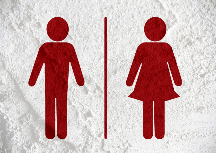 Equal but separate: How the gender divide is rewiring America