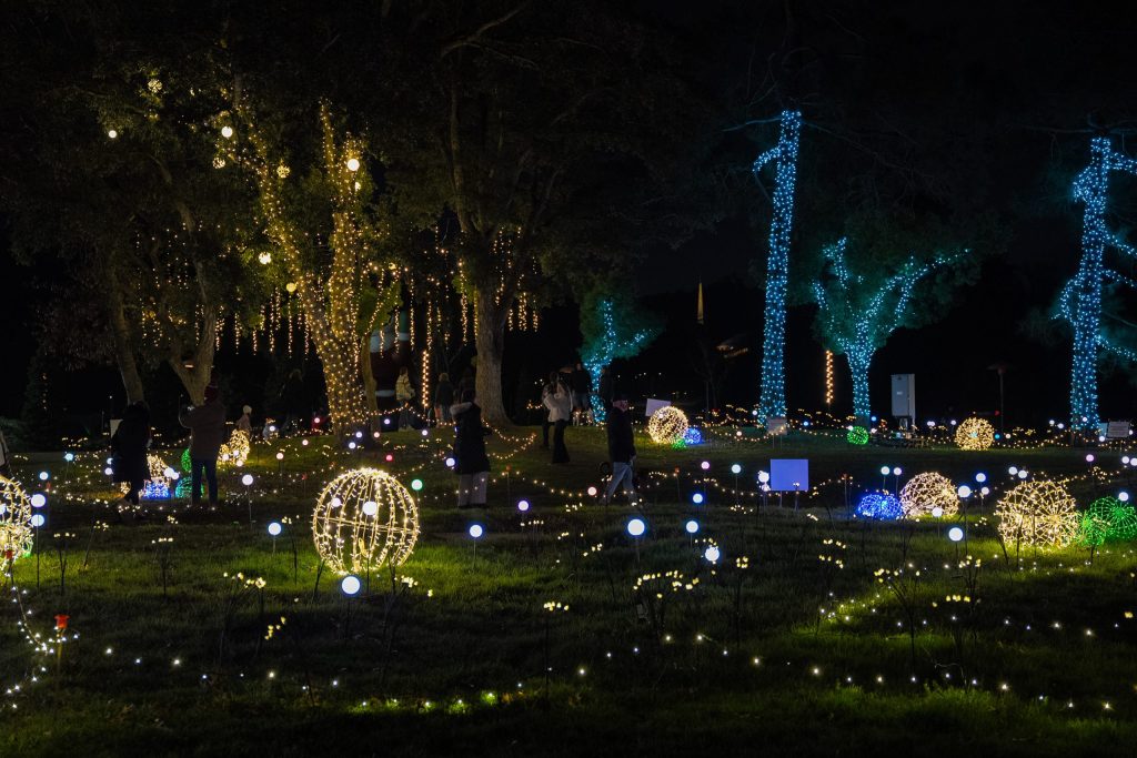 Marin County light installations brighten fairgrounds, Civic Center ...