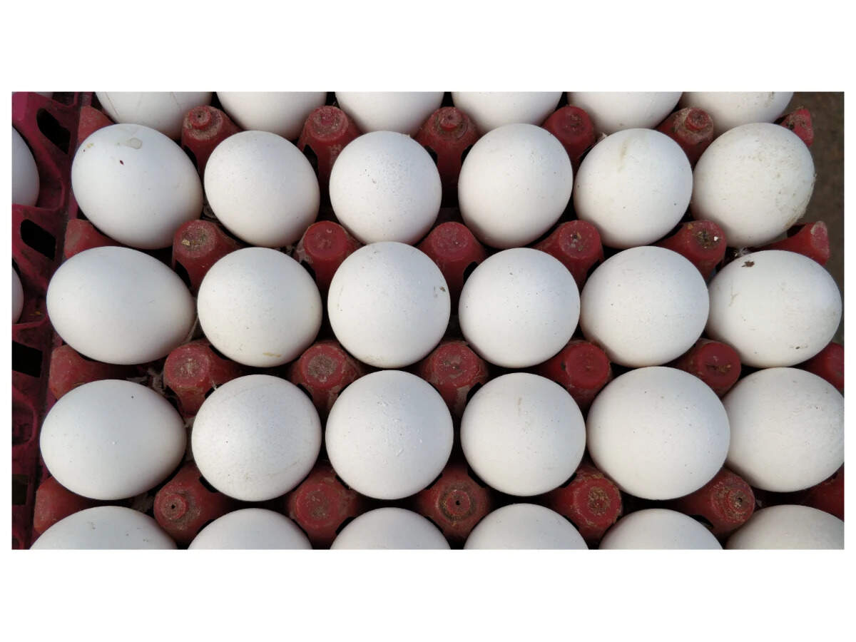 Endocrinologist says this daily food is a must for everyone over 50 ...