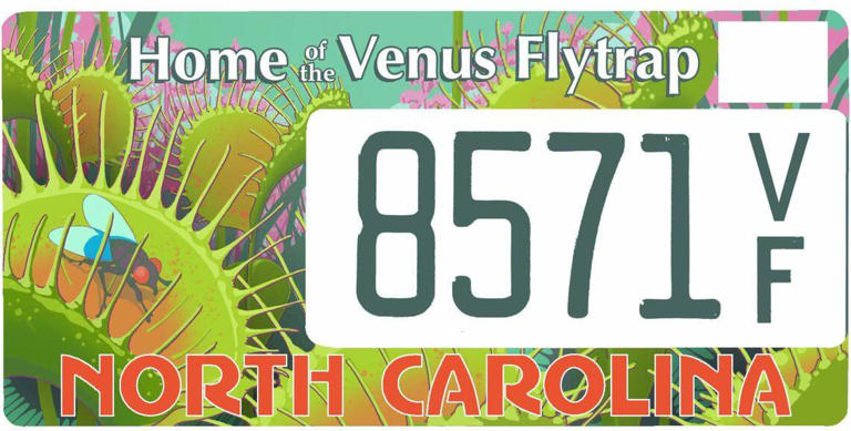New year, new license plate? See NC's latest specialty design