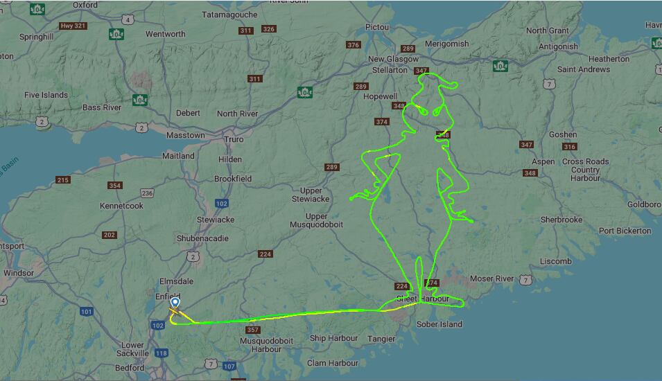 El Grinch aparece en Flightradar24: la figura que Dimitri Neonakis ...