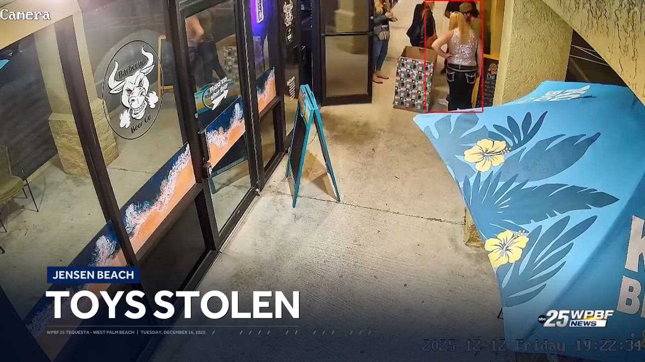 'Dragging it out the door': Woman accused of taking toy donations from ...