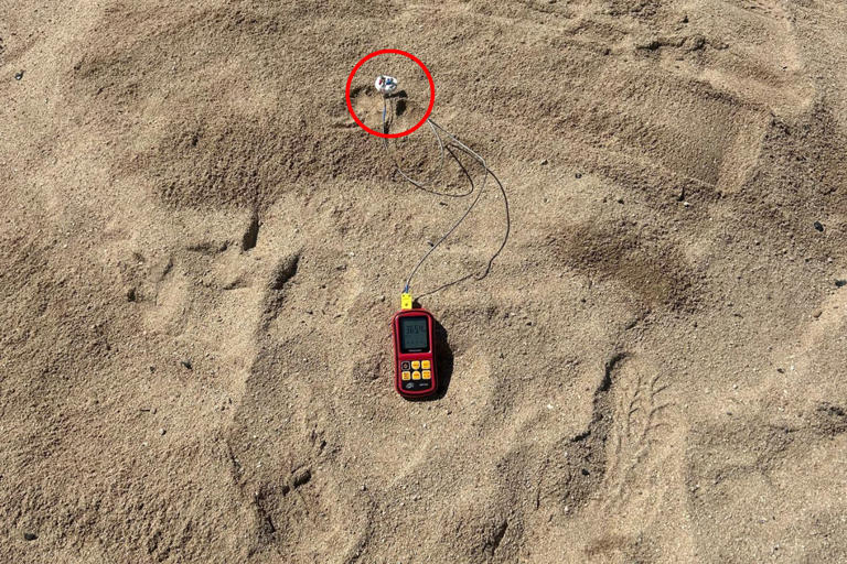 Fresh camp warning as photo reveals danger lurking beneath 'seemingly ...