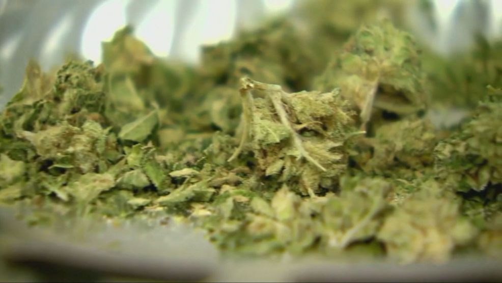 New York State cannabis regulations introduce 'seed-to-sale' tracking ...