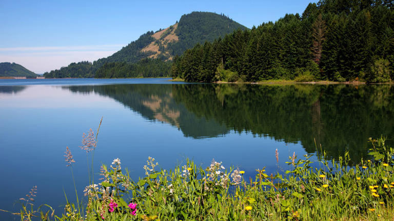 Oregon's 'friendly city' near Eugene is a Pacific Northwest gem with a ...
