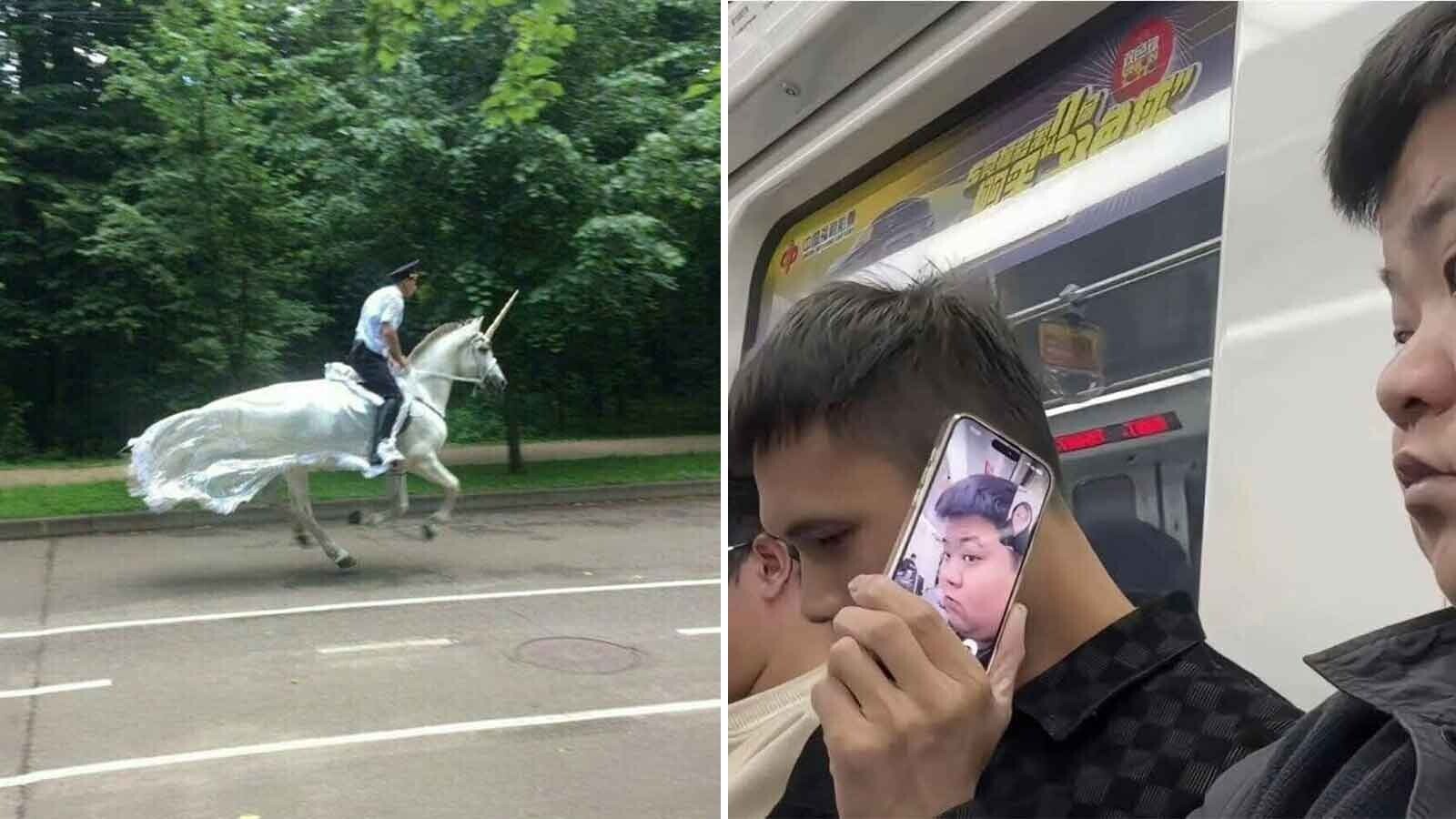 Photos showing common sense left humanity behind