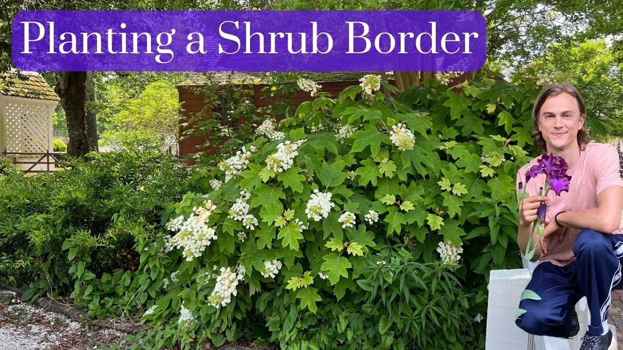Shrub border - how to plan & install in your garden - complete tutorial ...