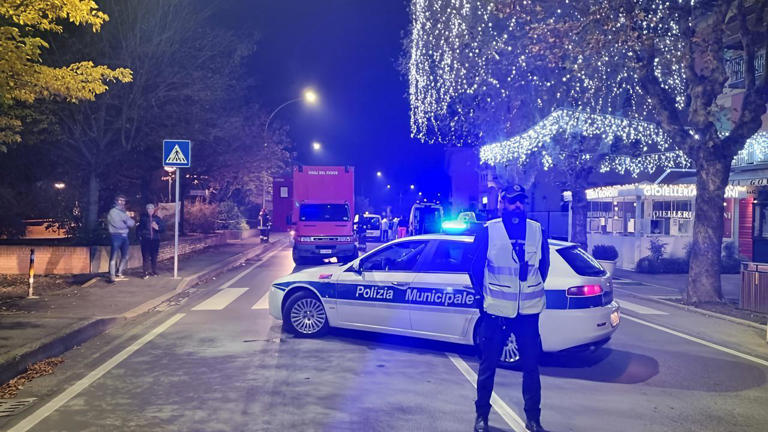 Police apprehend theft suspect at gunpoint