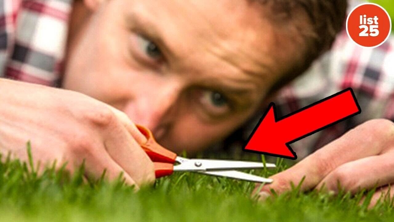 25 strange things only perfectionists understand