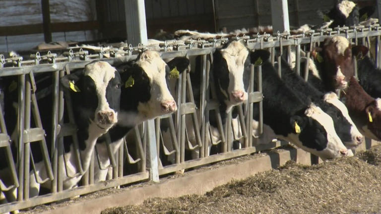 Brown County breakfast on the farm arrives along with June Dairy Month