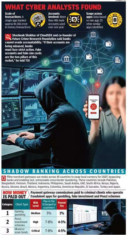 Hacked 2.0: Inside gamified mule account networks