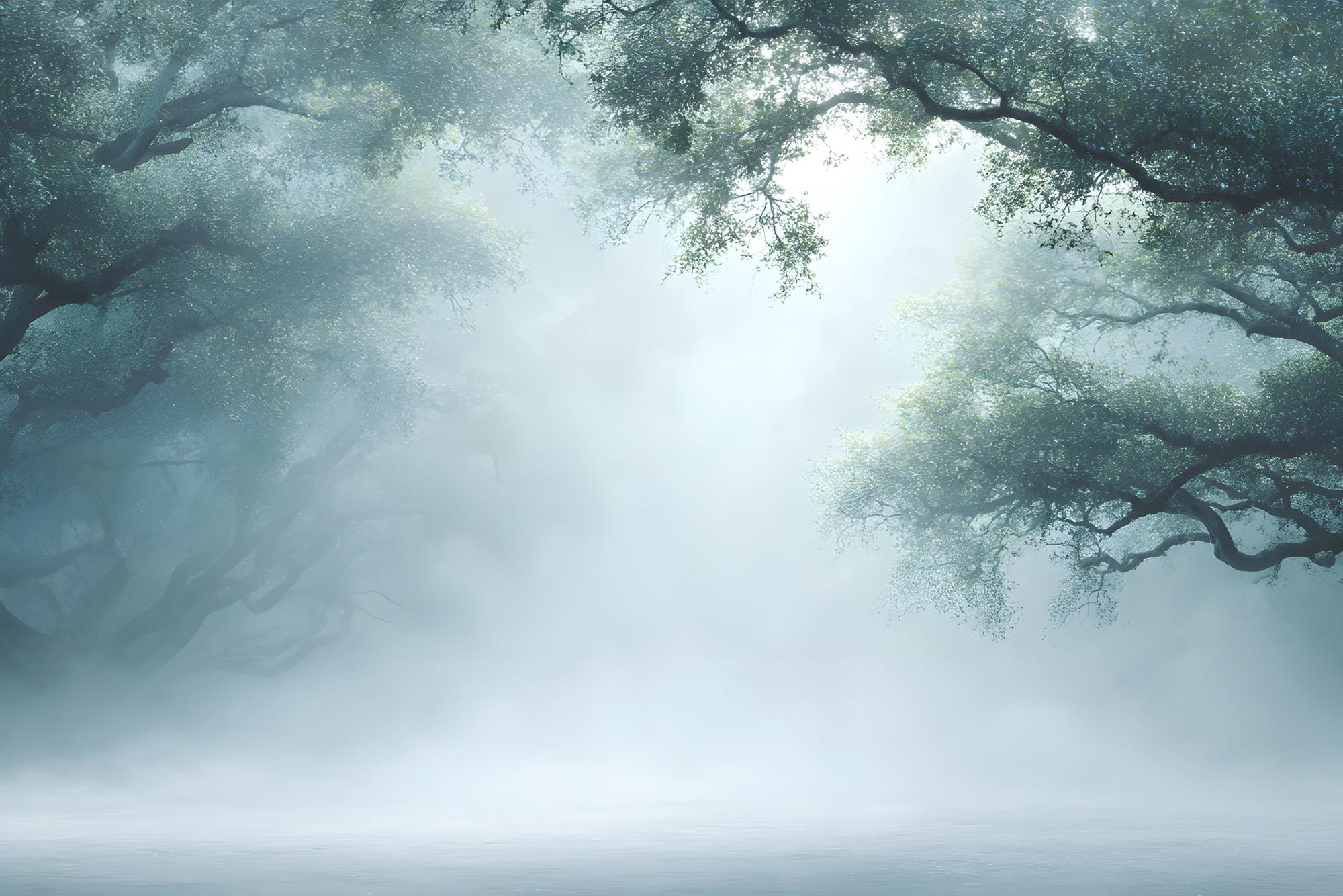 Yellow weather warning issued for fog in Peterborough