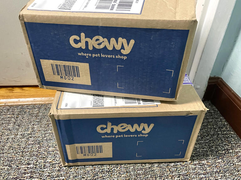 Chewy has a 'plush' heated cat and dog bed on sale for $39 that pets ...