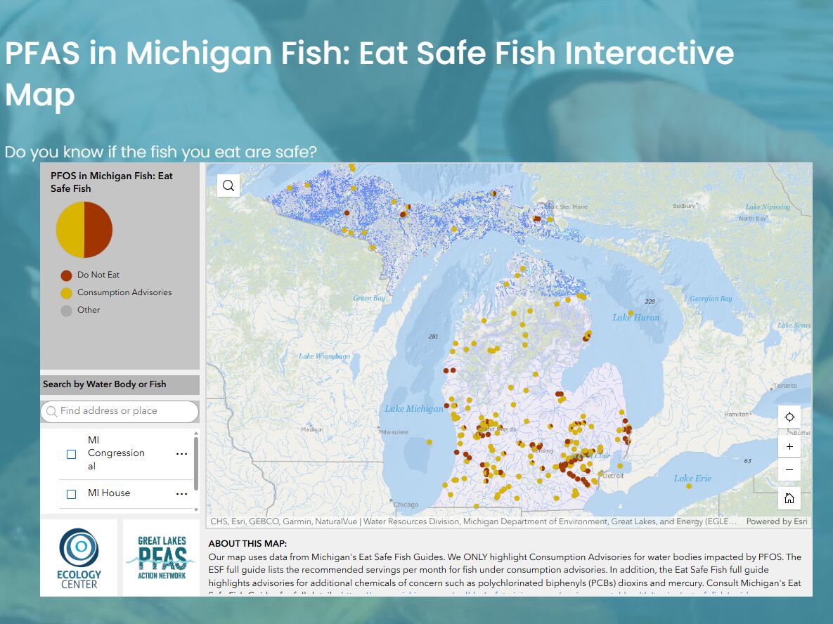 New map shows where PFAS-contaminated fish in Michigan are