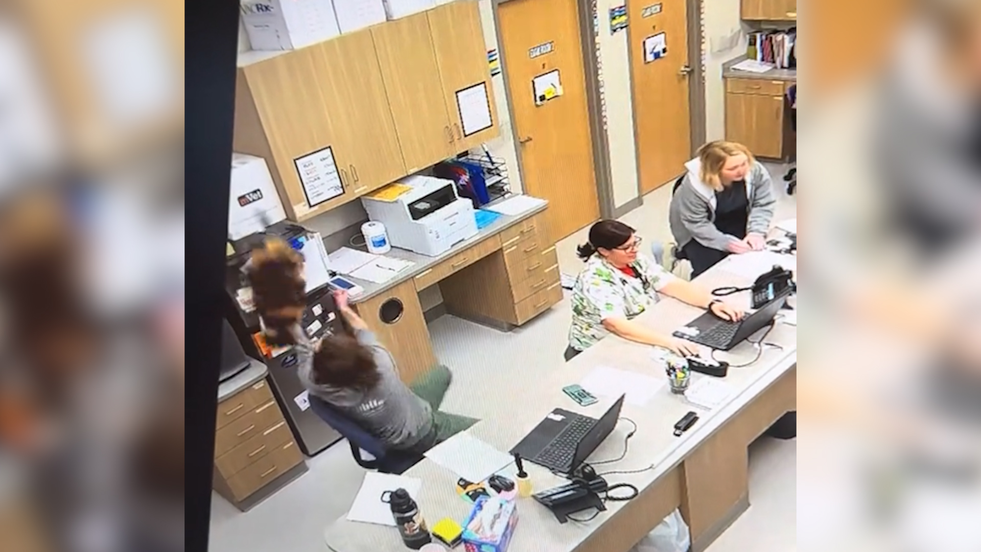 Something is hiding in vet office cupboard, what unfolds caught on camera