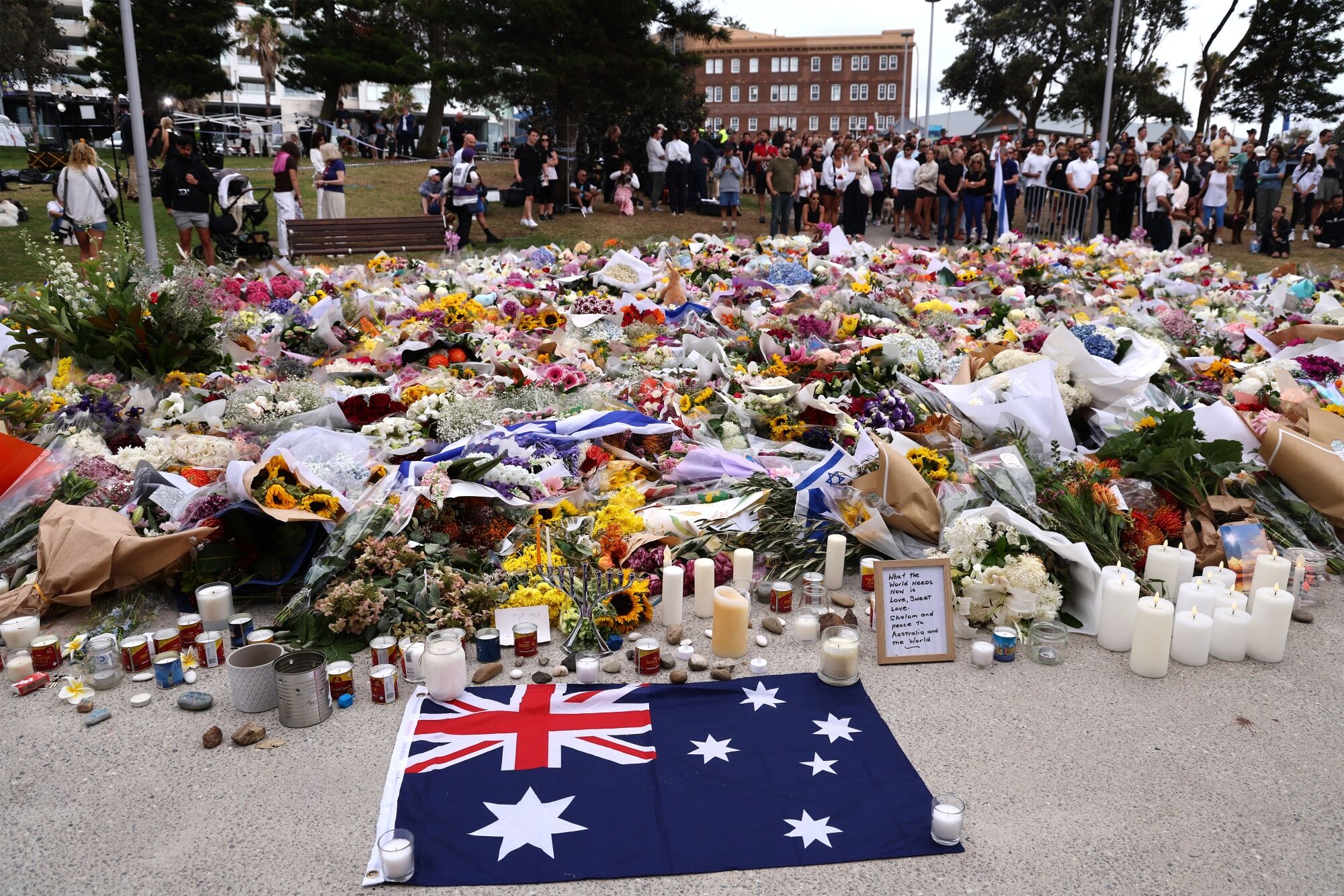 Bondi shooting hero bystander’s fundraiser tops $2 million