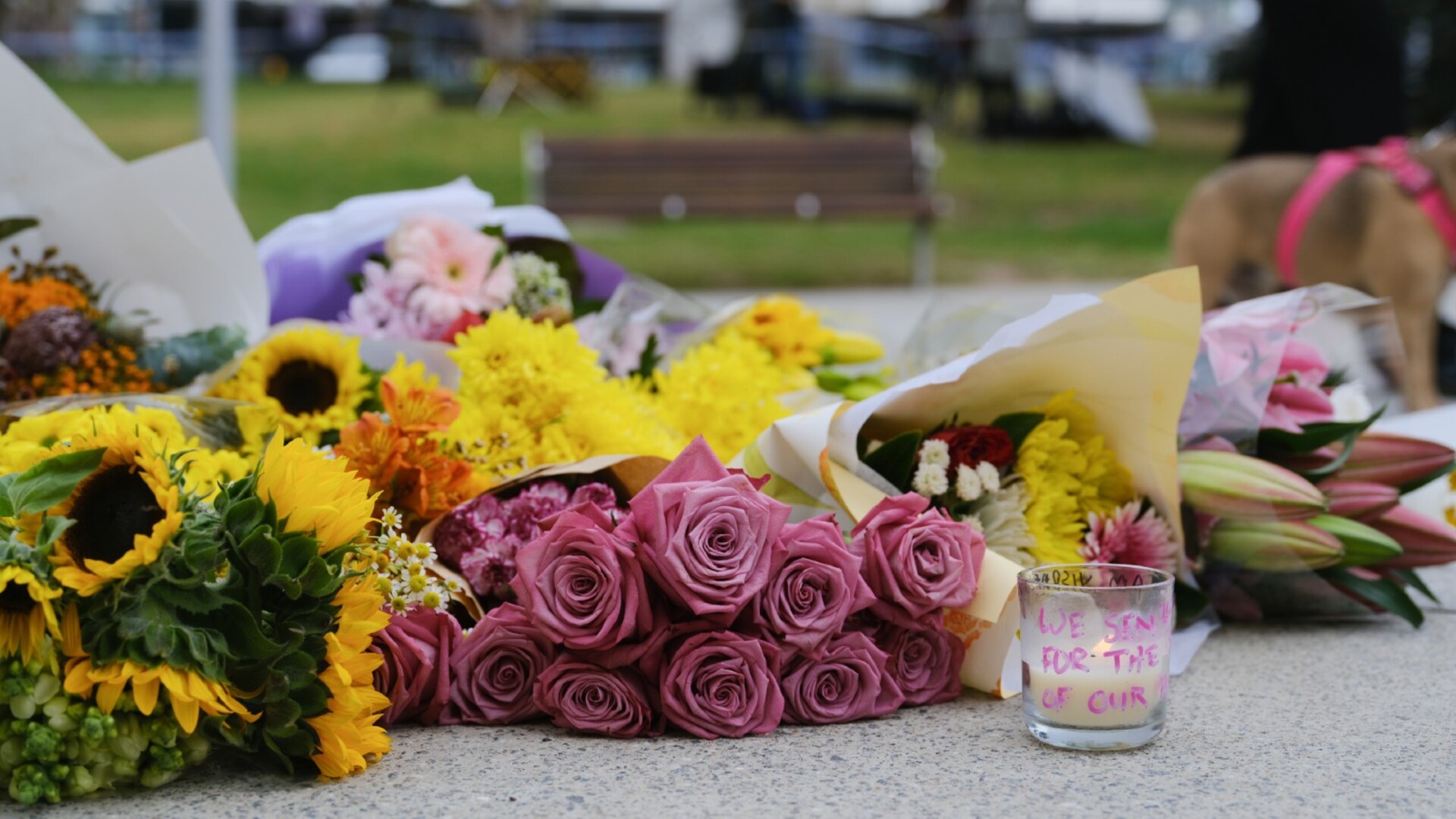 ‘This is an absolute turning point’: Australia will ‘never be the same ...