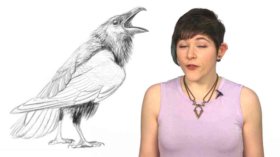 What happens when a crow faces questions designed for children