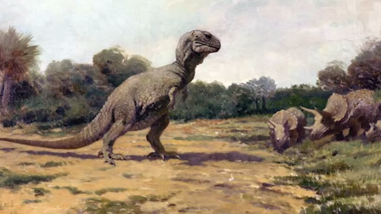 The fearsome giant whose bite force rewrote evolutionary limits