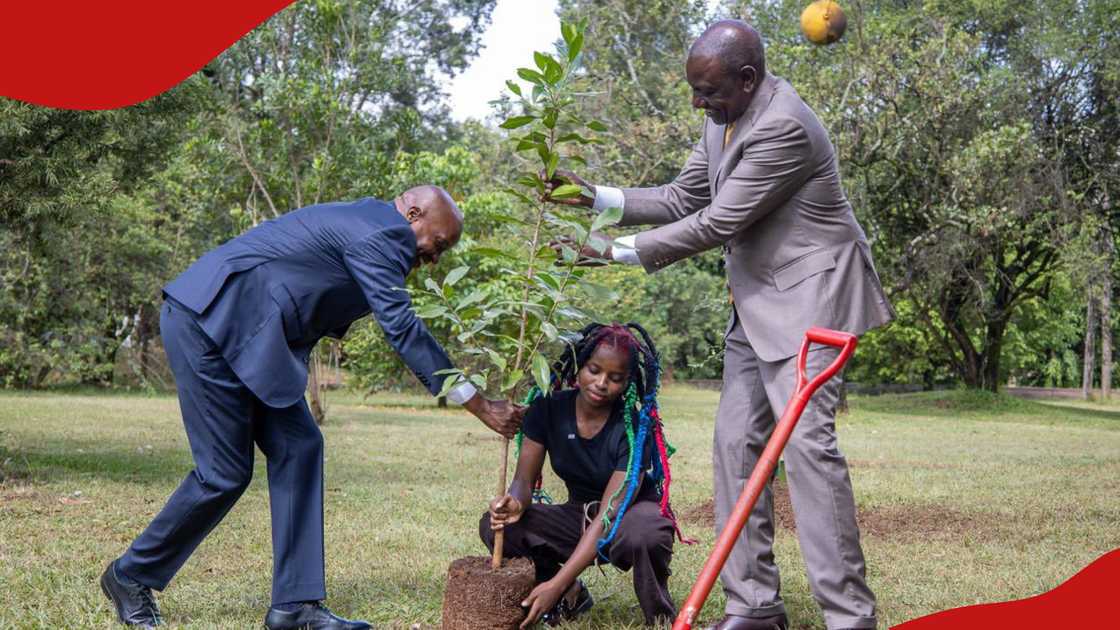 Guinness World Records finally recognises Truphena Muthoni’s 72-hour ...