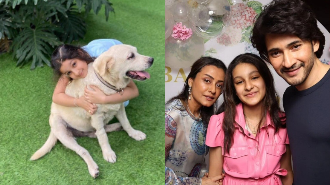 Namrata Shirodkar mourns the loss of her beloved pet Nobu; says, 'You ...