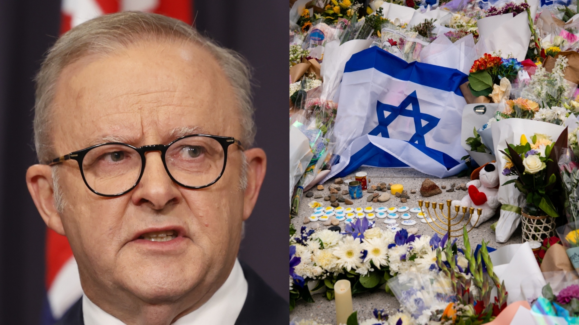 ‘It’s his job’: Jewish leader calls for Albanese to ‘take responsibility’
